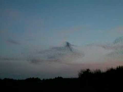 The Black Sun (Sort Sol) Phenomenon in Denmark - YouTube