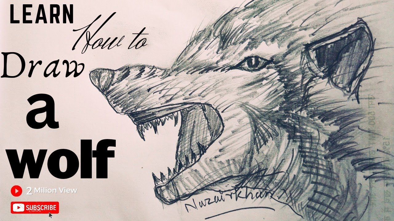Learn how to draw a wolf || how to draw a wolf || wolf kaise draw kare ...
