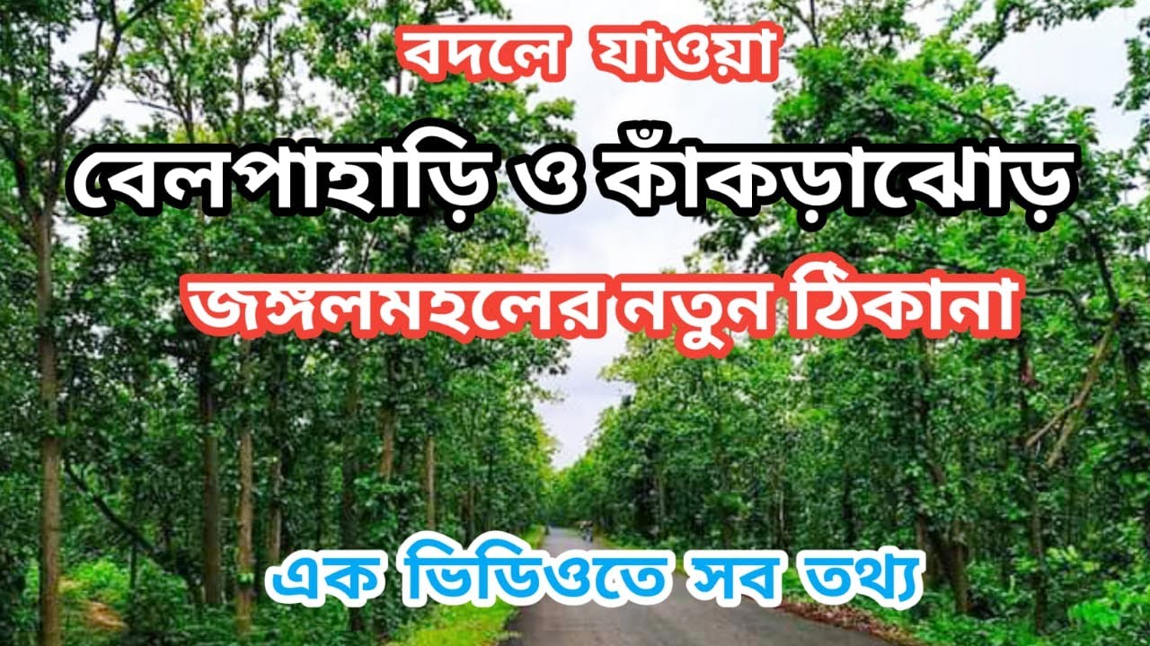 Belpahari Complete Tour Guide | Offbeat Kakrajhor | New Spots of ...