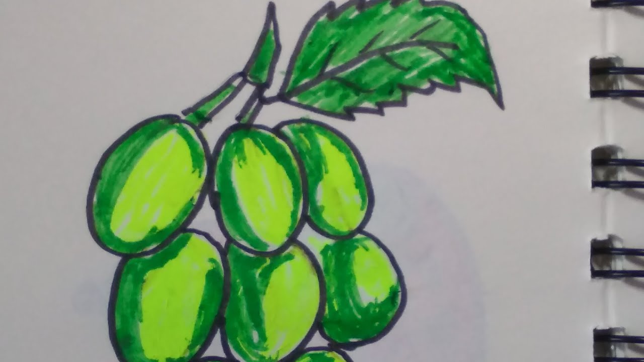 grapes 🍇 drawing, how to draw 🍇,grapes painting very easy - YouTube