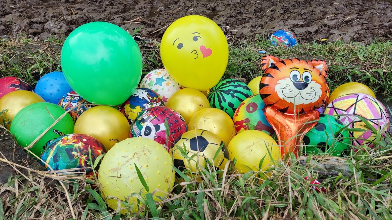 HUNTING BOLA MENEMUKAN BALON MELETUS, BALON KARAKTER, BOLA BASKET, BOLA ...