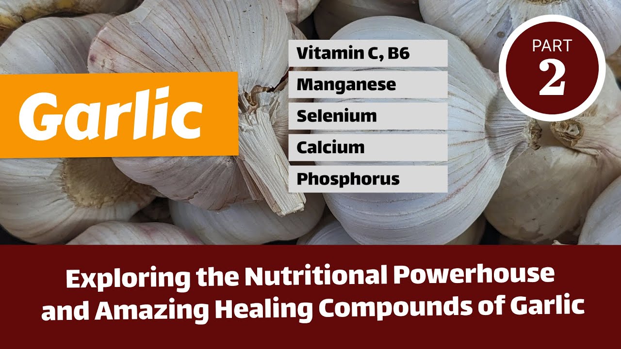 🧄 Garlic: Exploring the Nutritional Powerhouse and Healing Compounds ...