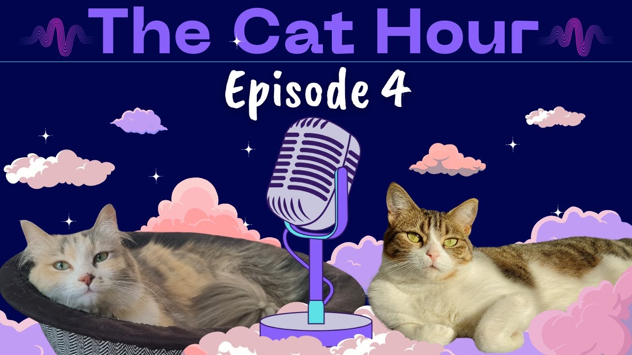 The Cat Hour - E04 (therapy cats, human food, cat manners) - YouTube