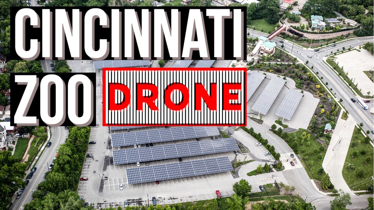 Get a bird's eye view of Cincinnati Zoo with this exclusive aerial ...