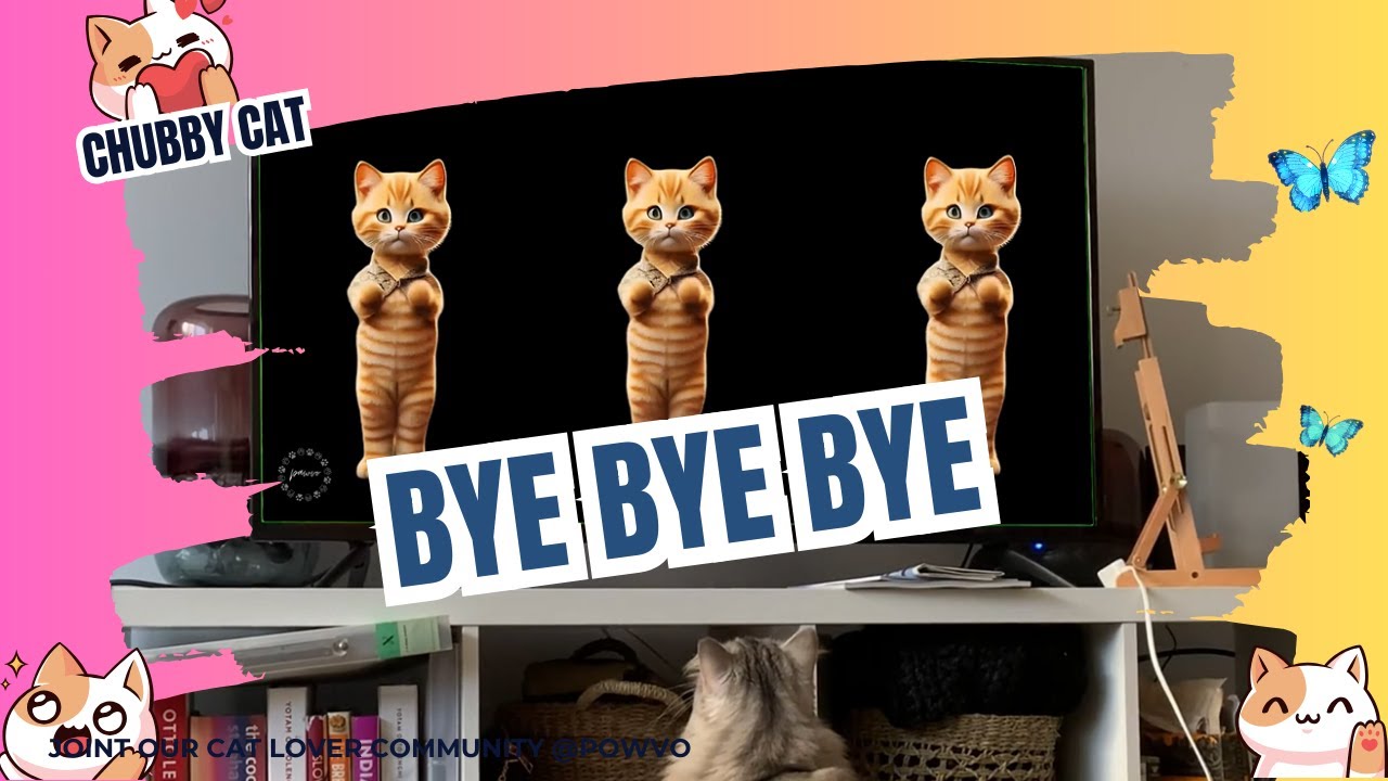 แมวอ้วน😽🐈‍⬛Cats Singing Bye Bye Bye (A Parody) #shorts #cat #cute #song - YouTube