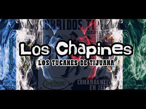Los Chapines Los Tucanes de Tijuana { Letra } Audio Original - YouTube