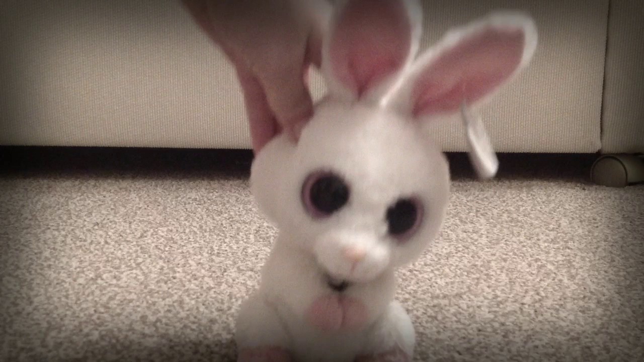 Brave Beanie boo music video - YouTube