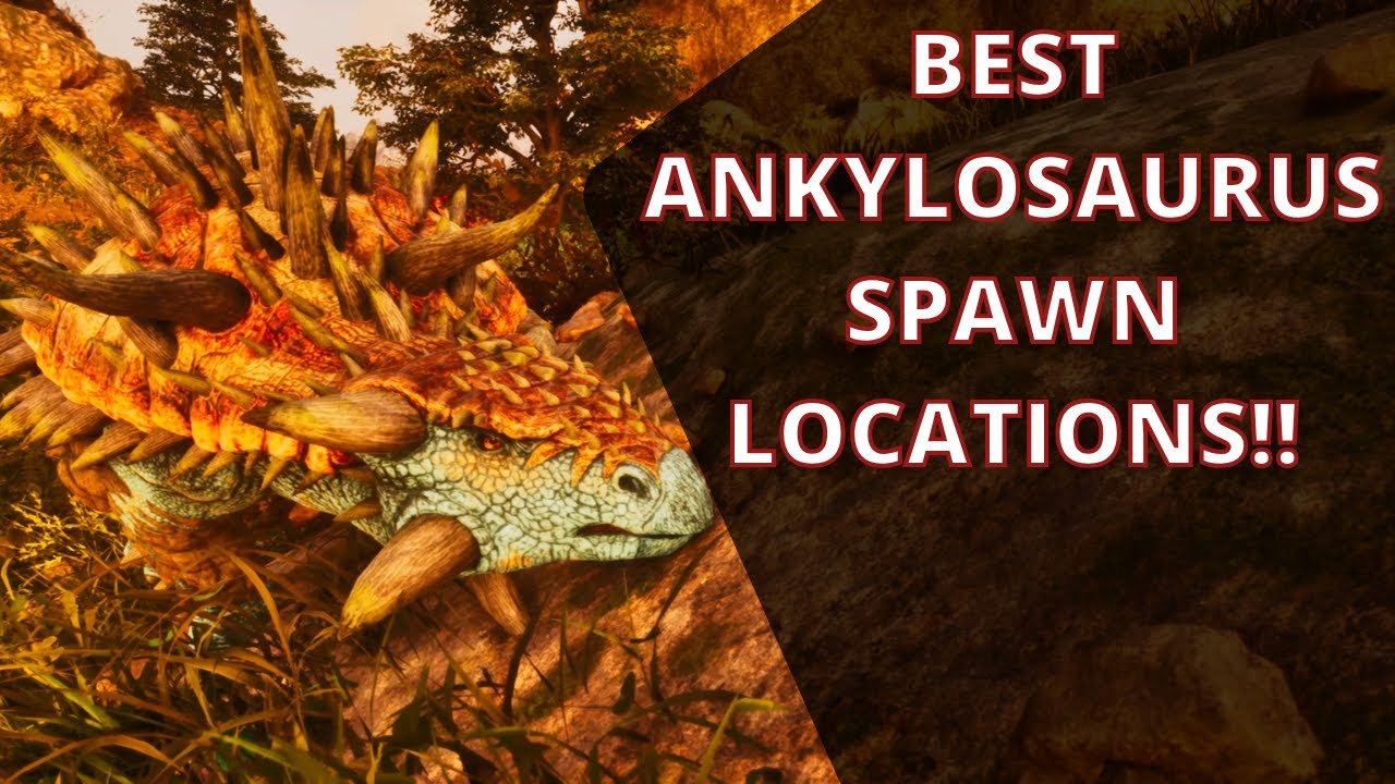 ARK Ascended Ragnarok | Ankylosaurus Spawn Locations!! - YouTube
