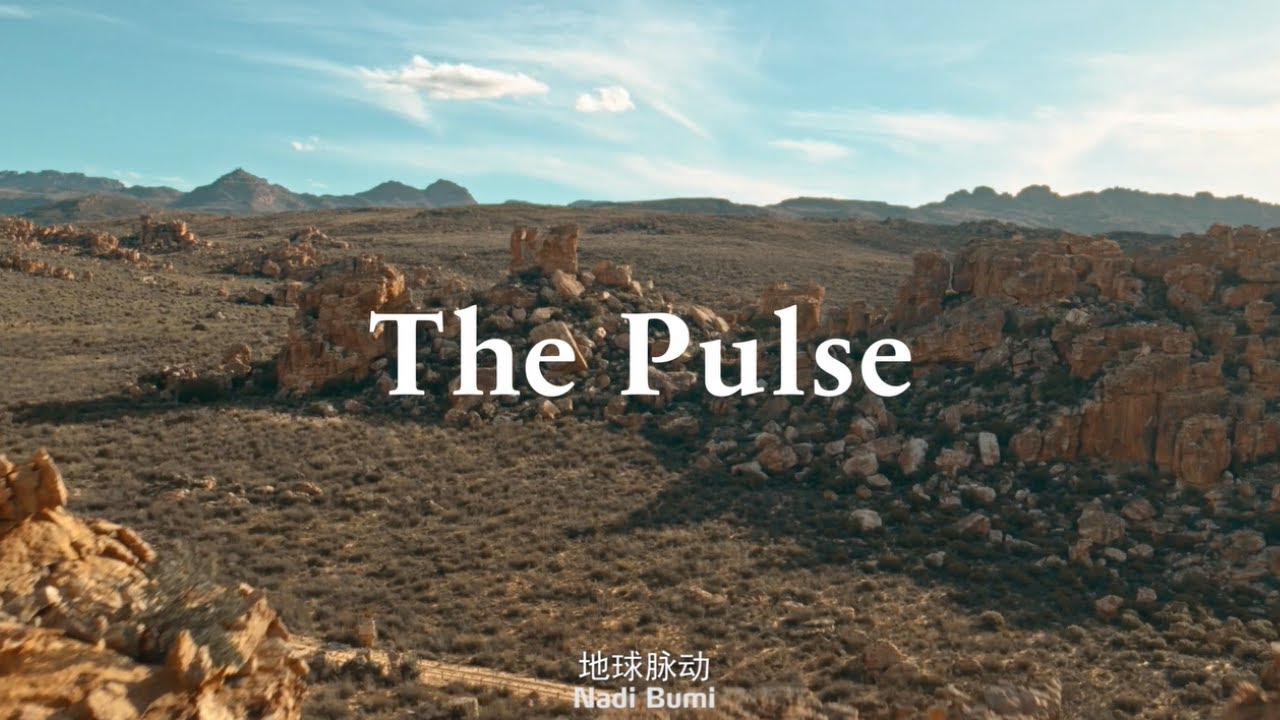 The Pulse - YouTube