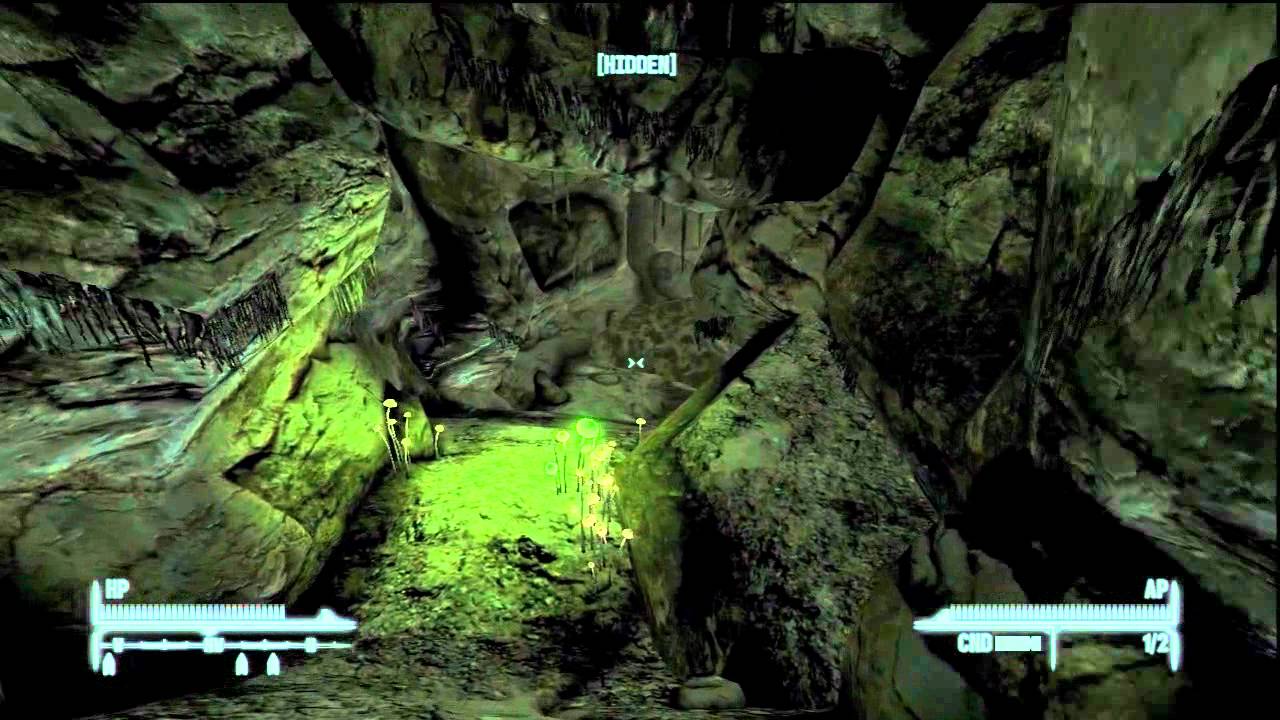 Fallout New Vegas Killing the Legendary Bloatfly HD - YouTube