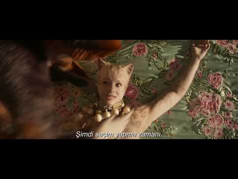 CATS | Türkçe Alt Yazılı Video | Muhteşem Kadro