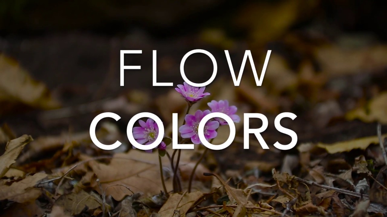 COLORS/FLOW 歌ってみた - YouTube