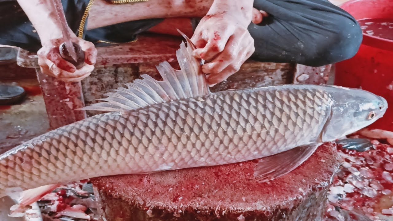 Amazing Big Mrigal Fish Cutting Skills in Bangladesh - YouTube