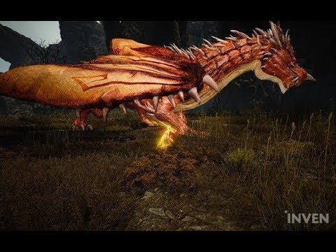 BDO First Garmoth first spawn in NA with title kill! - YouTube