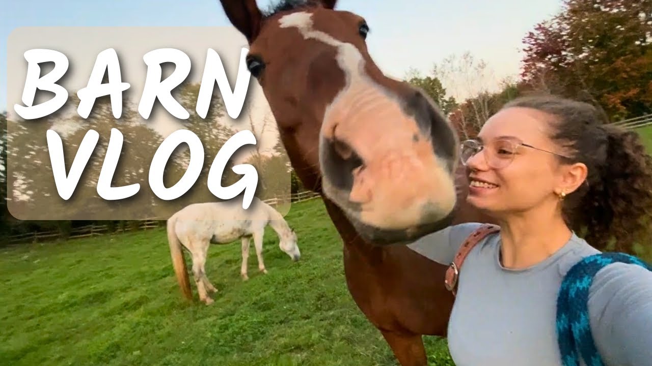 A CHALLENGING RIDING LESSON | Horse Riding Vlog!! - YouTube