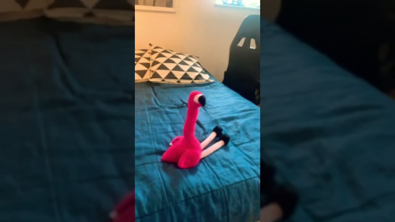 Weird flamingo - YouTube