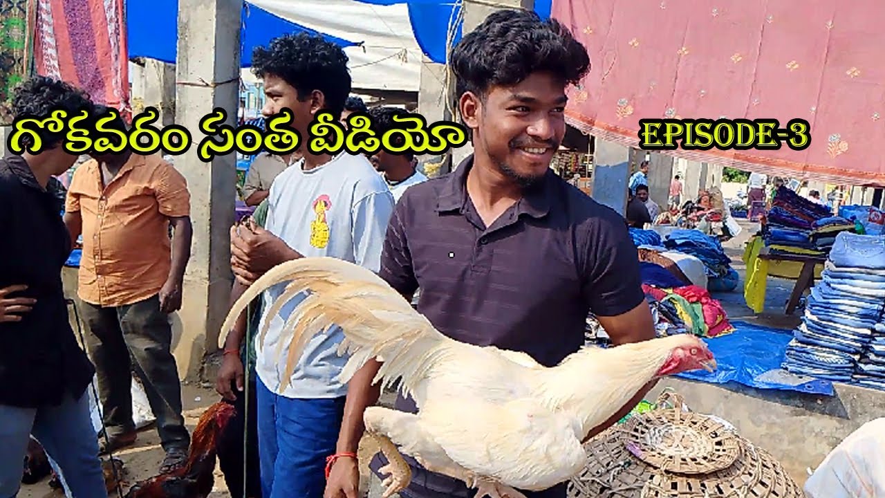Gokavaram video episode 3 - YouTube