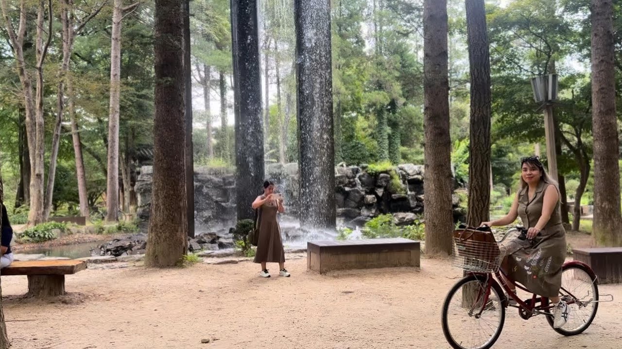 South Korea - Day 4 & 5 ( Nami Island, Gapyeong Railbike & Myeongdong ...