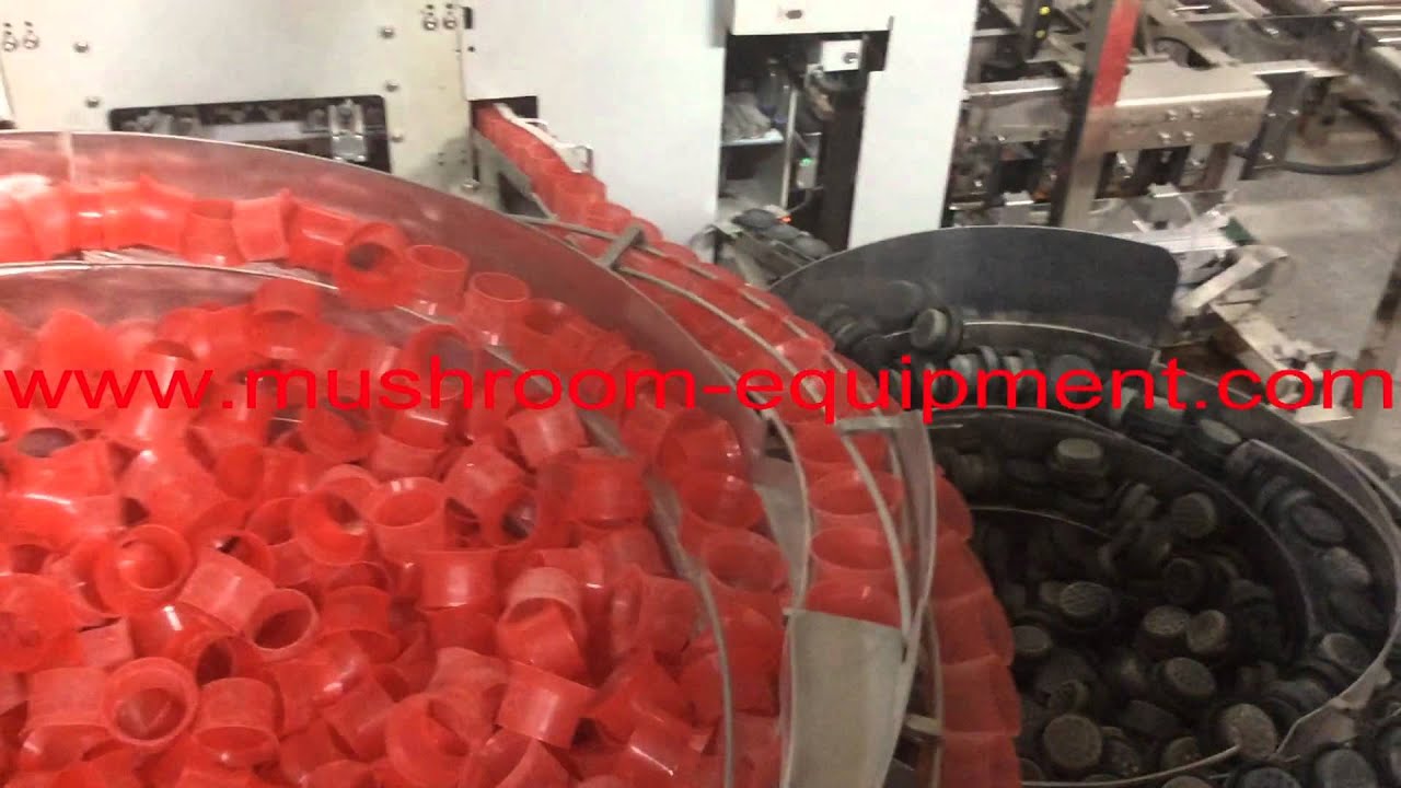 Mushroom bag cap and ring production line - YouTube
