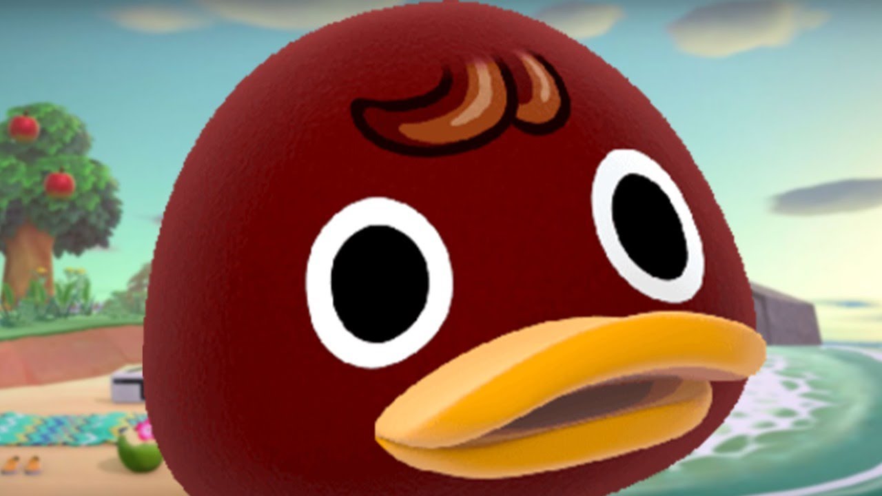 FINDING BILL! (Animal Crossing: New Horizons - Day 11) - YouTube