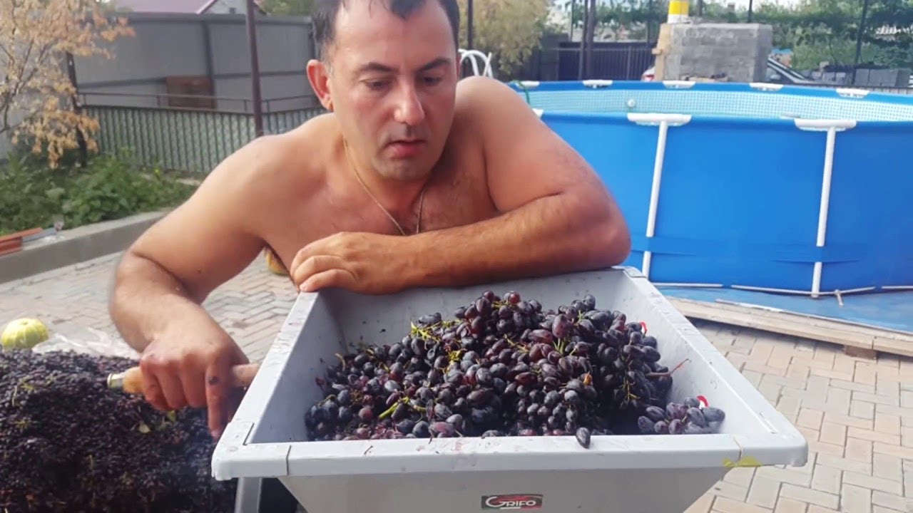 Homemade Grape Chacha - try it at home | GEORGY KAVKAZ - YouTube