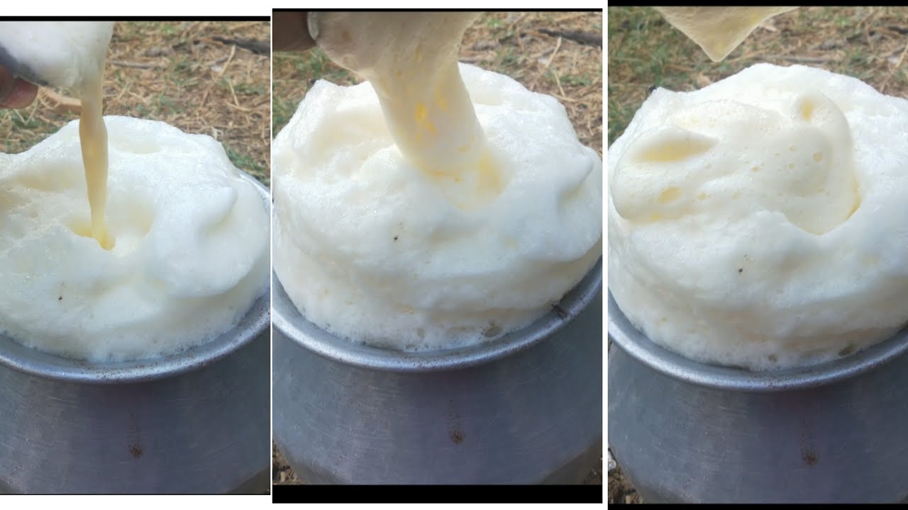மூன்றாம் நாள் சீம்பால்/ seempaal recipe in 3 day/ cow colostrum recipe ...