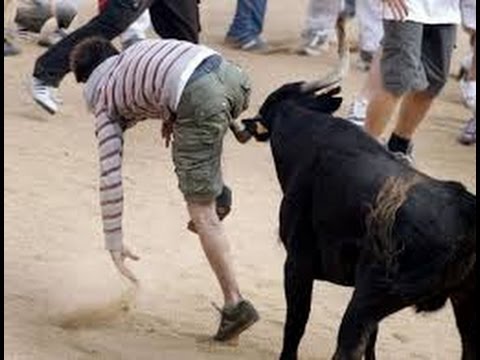 Toros!!! | Atacando a Gente | En vivo.... - YouTube