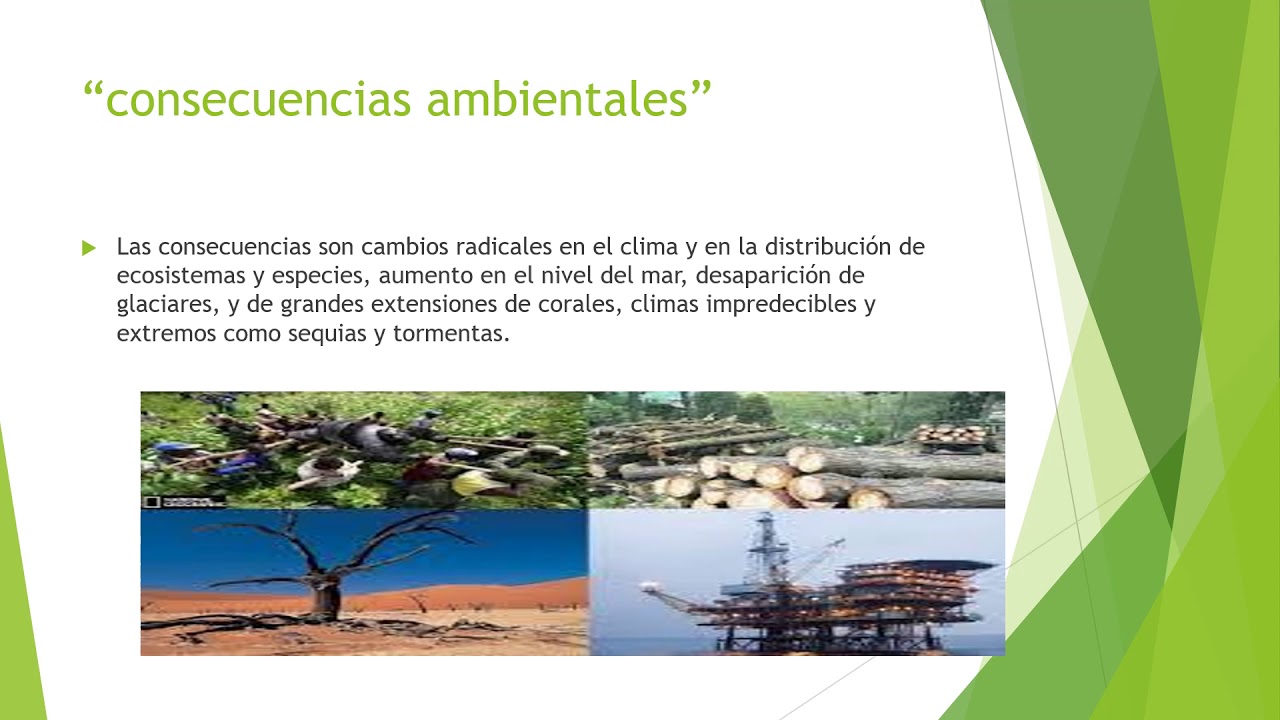 Proyecto integrador. "Agente verde" modulo 15 - YouTube