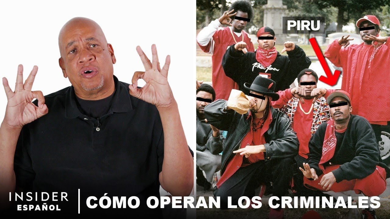 Cómo Opera la Pandilla Bloods | Cómo Operan los Criminales | Insider ...