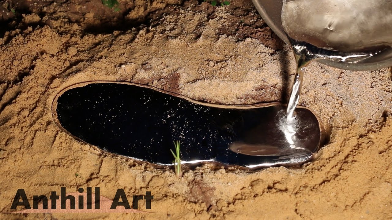 Five Fire Ant Colony Casting Session Part 3: Casts 4 & 5 - YouTube