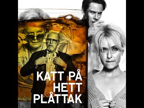 Katt på hett plåttak på Maximteatern Stockholm