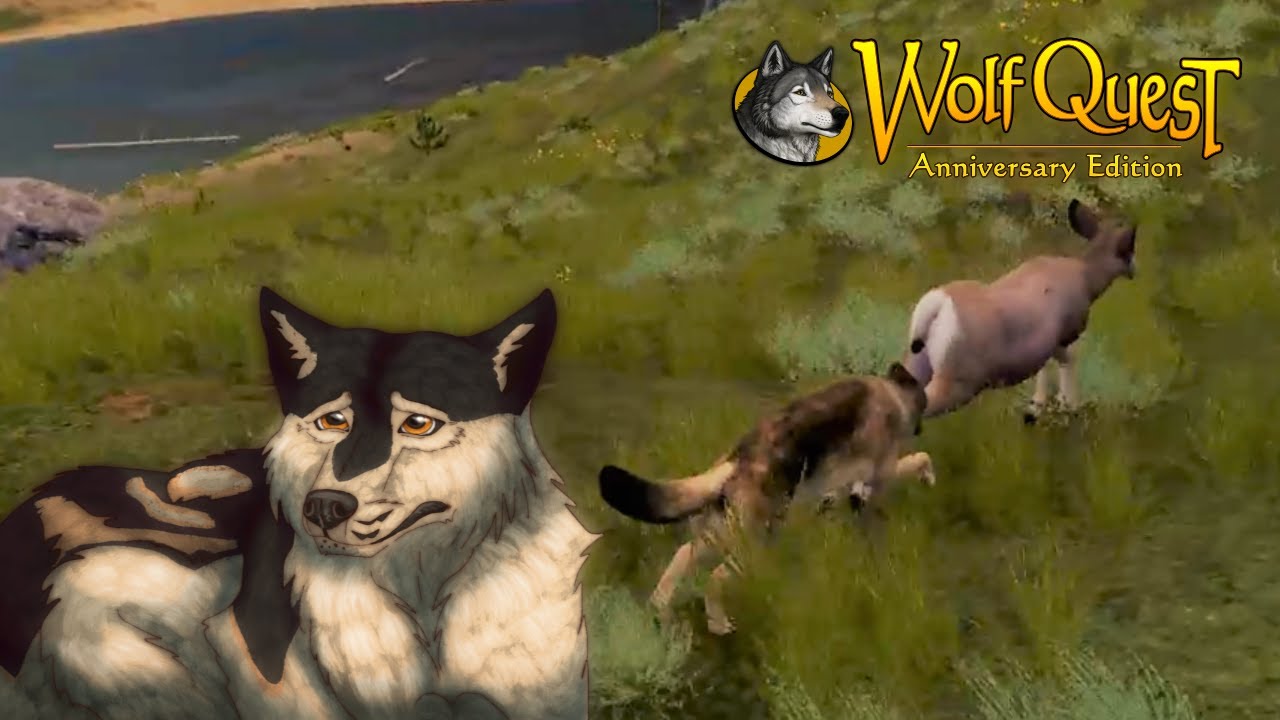 Hunting a Doe Mule Deer & bringing it to the Puppies to eat in ...