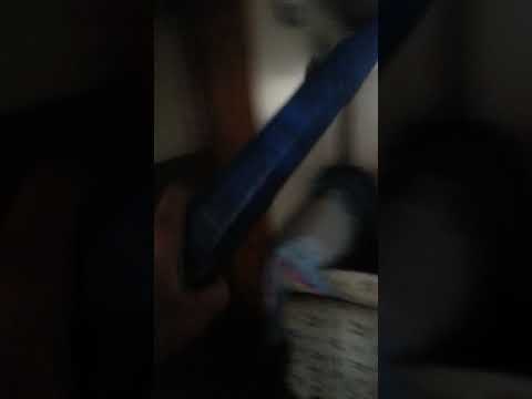 16 horozlu tek kirma
