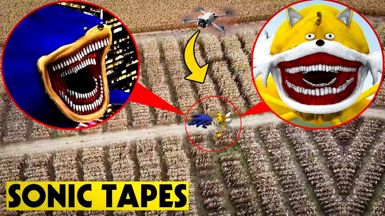 DRONE CATCHES SHIN TAILS TAPES & SHIN SONIC IN REAL LIFE *THEY ATE ...
