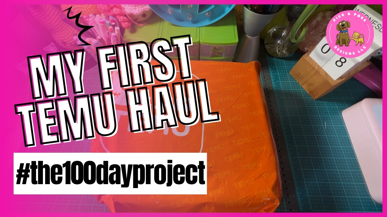 My First #temu Haul | Day 16 of the #the100dayproject - YouTube