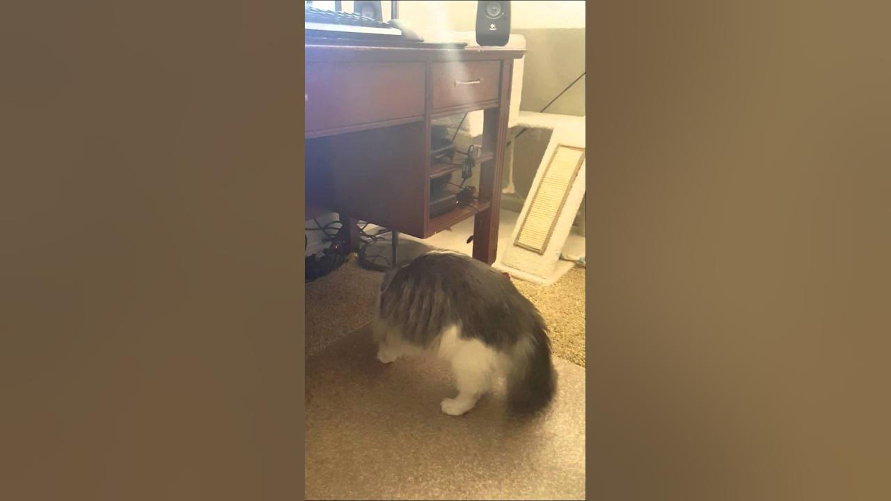 Stuck String - YouTube