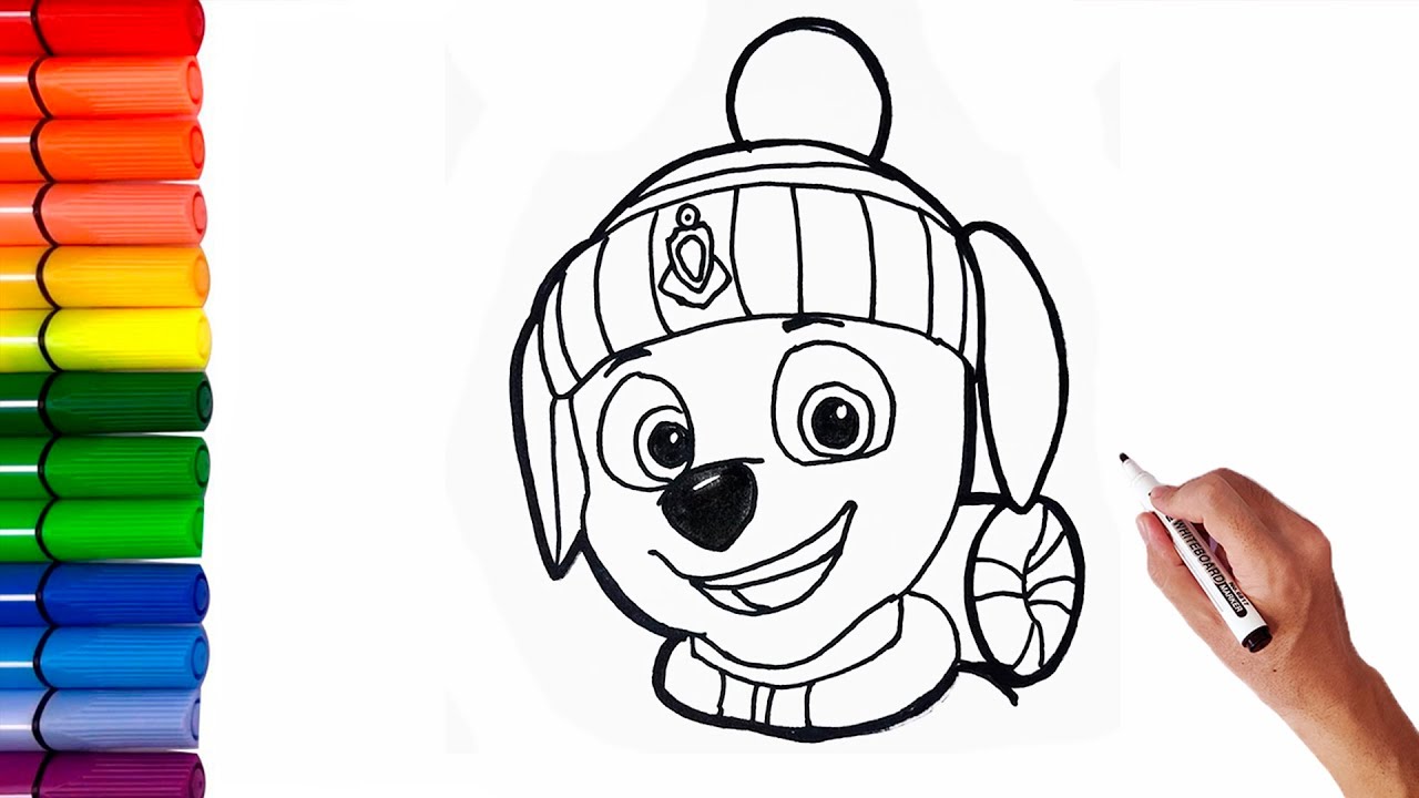 Drawing and Coloring Zuma - Paw patrol || How to draw Zuma - YouTube