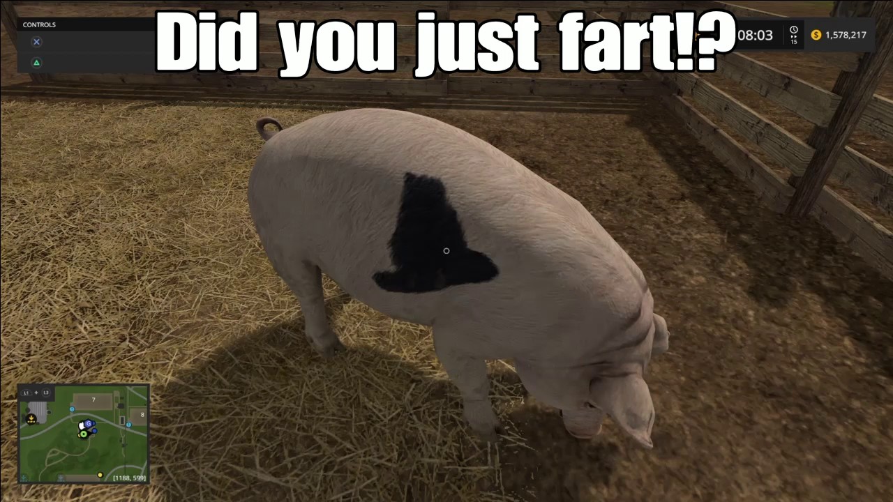 FS 17 pig fart - YouTube