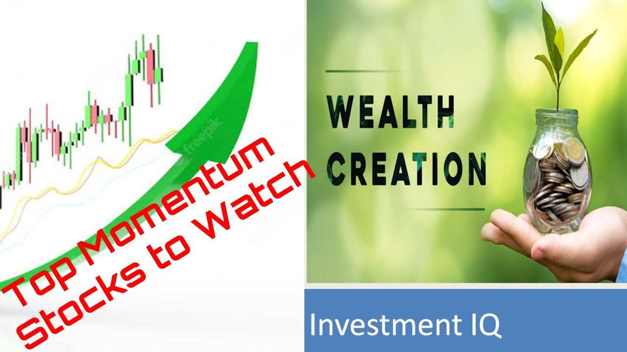 "Smart Money Insights: Unlocking Profitable Investment Ideas" - YouTube