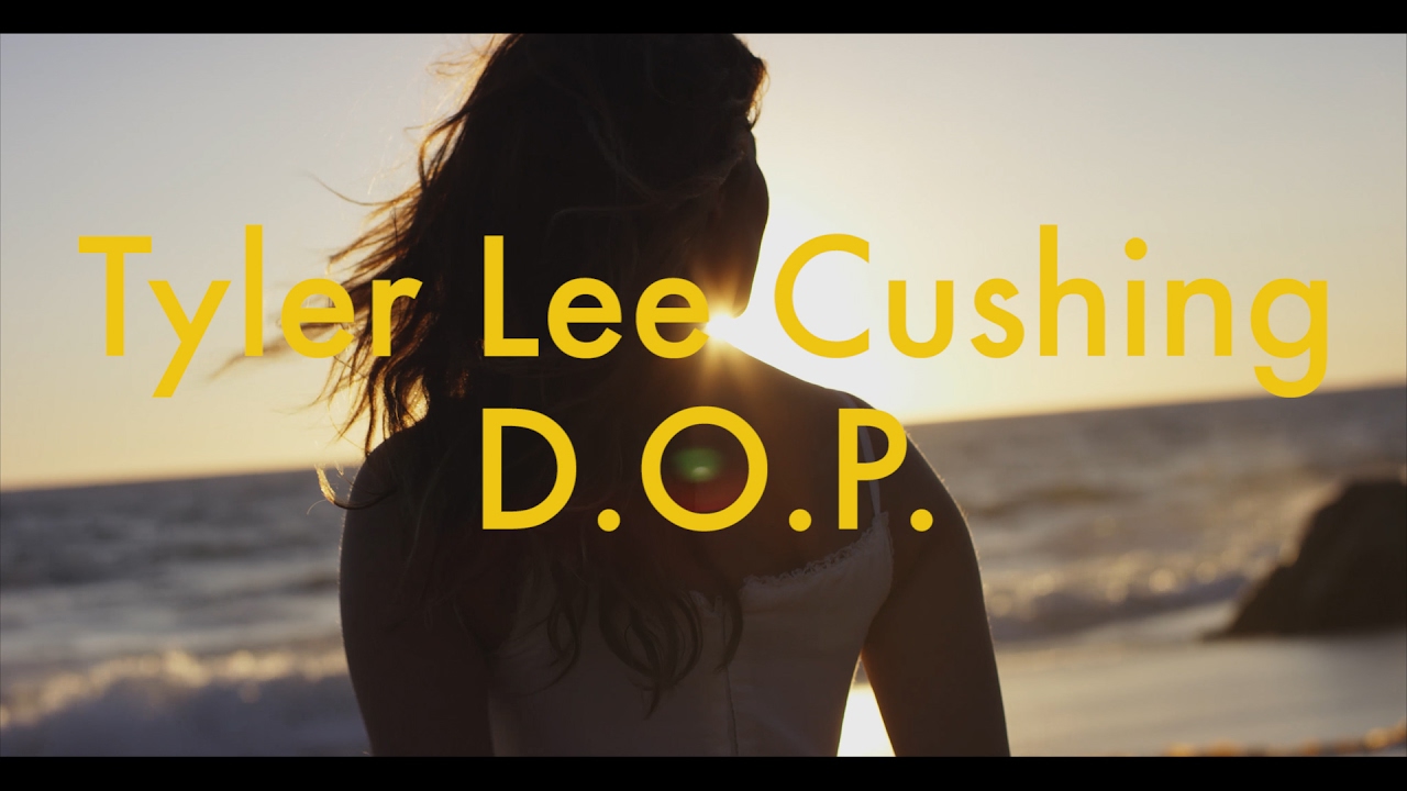 Tyler Lee Cushing Demo Reel 2017 - YouTube