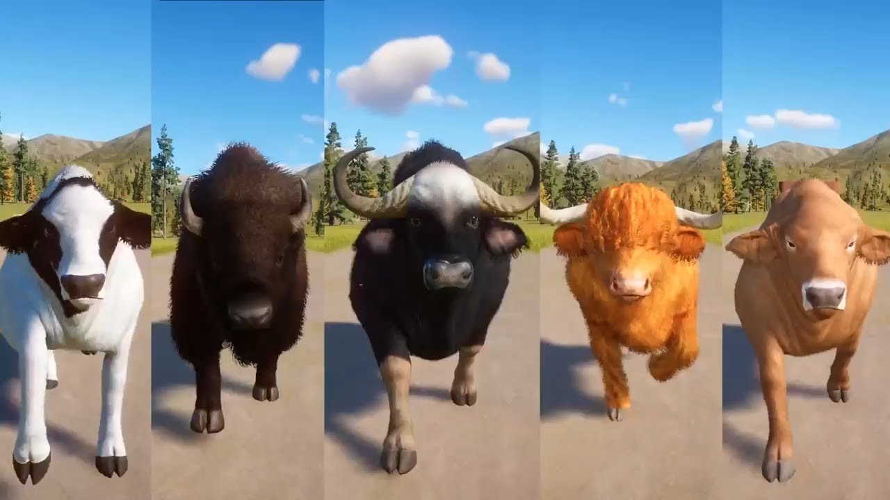 Female Bovidae Animals Speed Races in Planet Zoo | Cattle, Holstein Cow ...