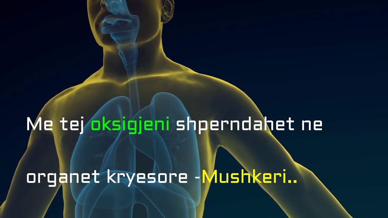 SISTEMI RESPIRATOR-Frymemarrjes - YouTube