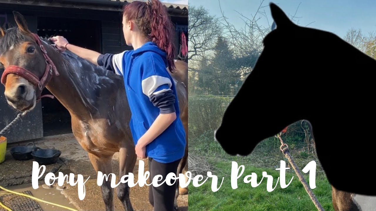 Pony Makeover Part 1 // lj_eventss - YouTube