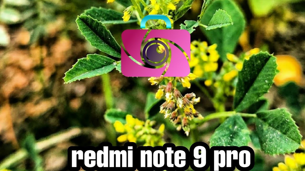 REDMI NOTE 9 PRO AMAZING CAMERA TEST - YouTube