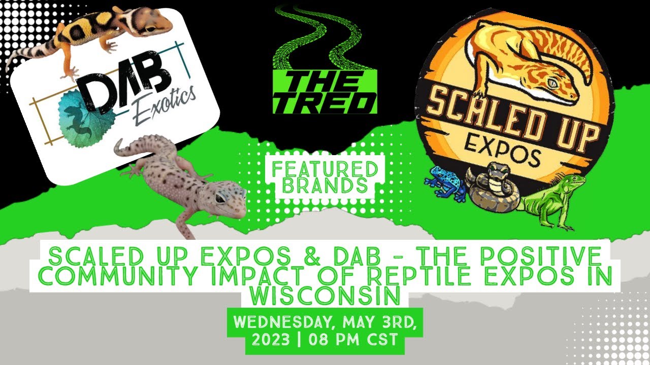 Scaled Up Expos & DAB - The Positive Community Impact of Reptile Expos ...
