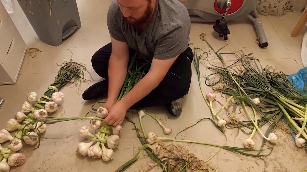 Best Garlic Braiding Easy Tutorial - How To With Steven - YouTube