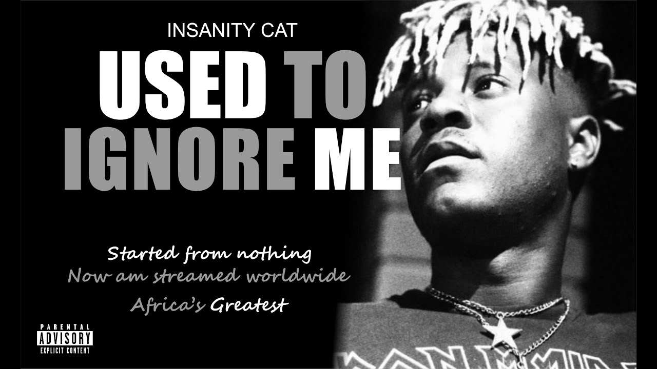 Insanity Cat - Private (Lyric Video) - YouTube