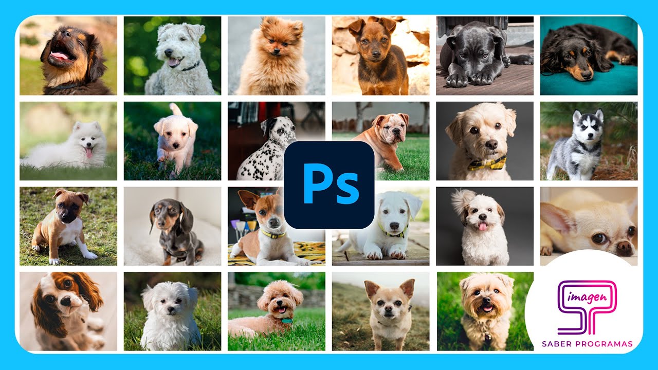 Descubre el SECRETO para Crear COLLAGES Automáticos en Photoshop 💥 ...