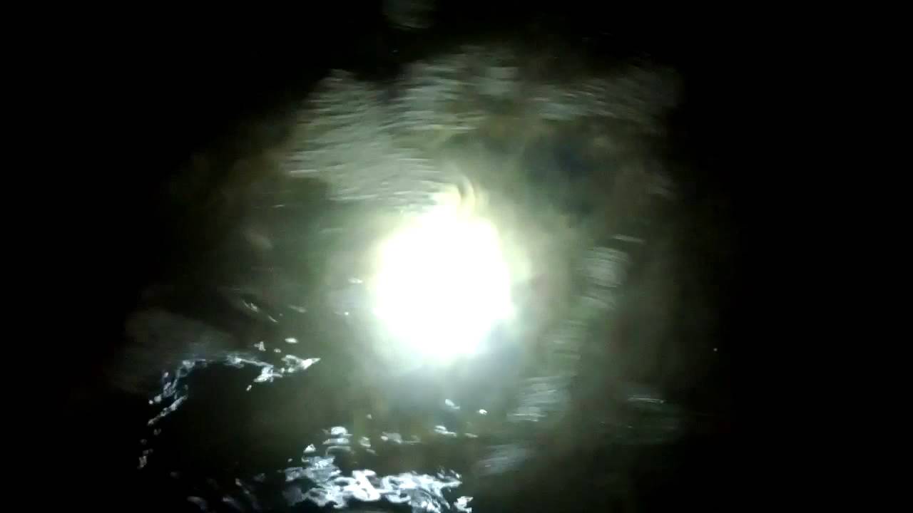 Ghost Crab at Tybee Island - YouTube