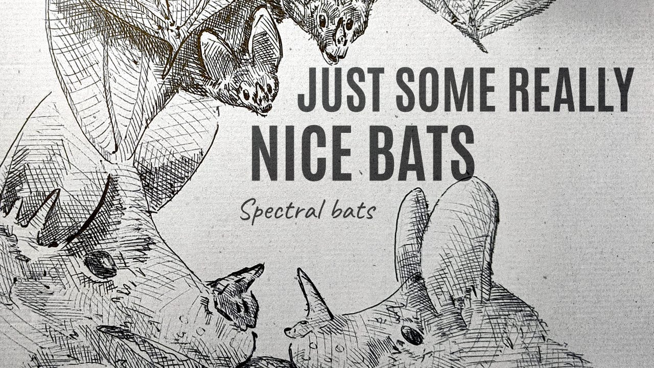 Spectral bats are wholesome cuddle bugs - YouTube